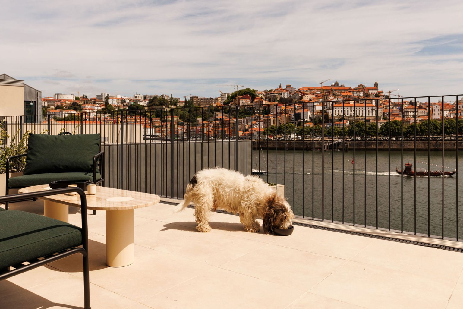 The Rebello Hotel in Porto, Portugal | Hotel Review